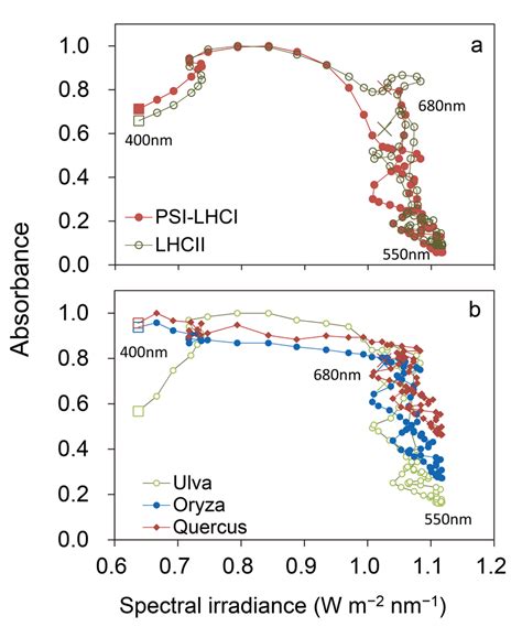 Absorptance Spectra Of The Lhcii Trimer Hogewoning Et Al 2012 Download Scientific Diagram