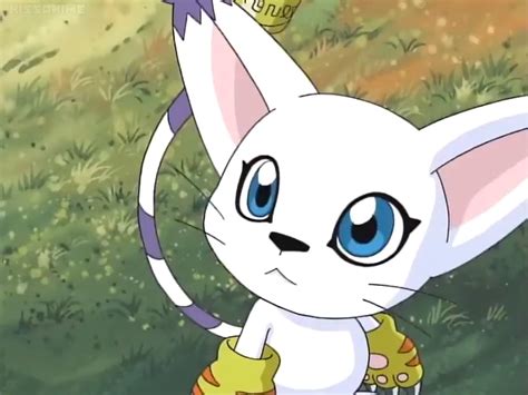 Digimon Adventure E44 Gatomon By Giuseppedirosso On Deviantart