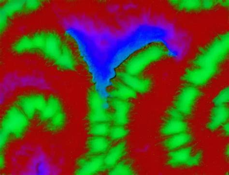 Understanding Neural Crest Formation A High Level Review
