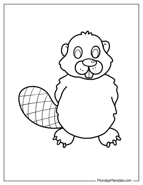 20 Beaver Coloring Pages Free Pdf Printables