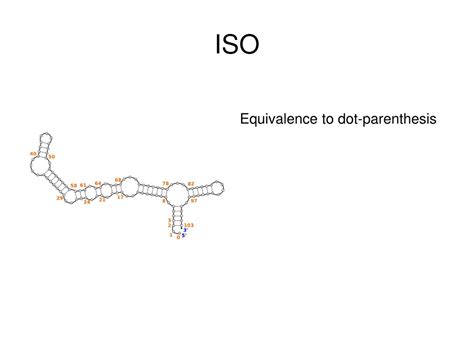 Ppt Rna And Dna Nanostructures Dot Bracket Notation Powerpoint