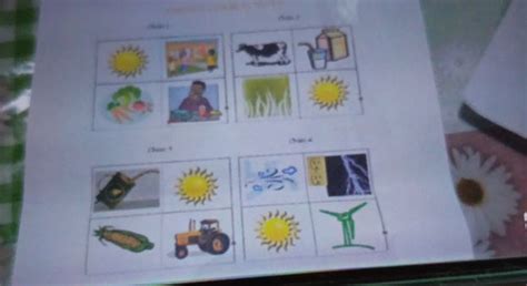 The Image Contains Four Charts Showing StudyX