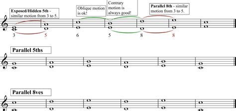 How To Write First Species Counterpoint A Comprehensive Guide Any Old Music