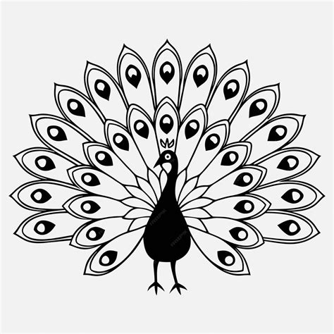 Peacock Line Art White Background Illustration Generative Ai Premium