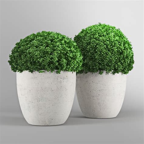 3d Model Clay