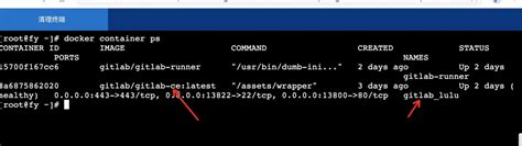 写给初用nestj做项目的你初篇 项目架构与前端零基础搭建gitlab 个人文章 Segmentfault 思否