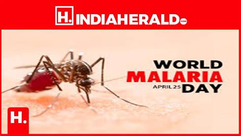World Malaria Day Avoid These Malaria Risk Factors