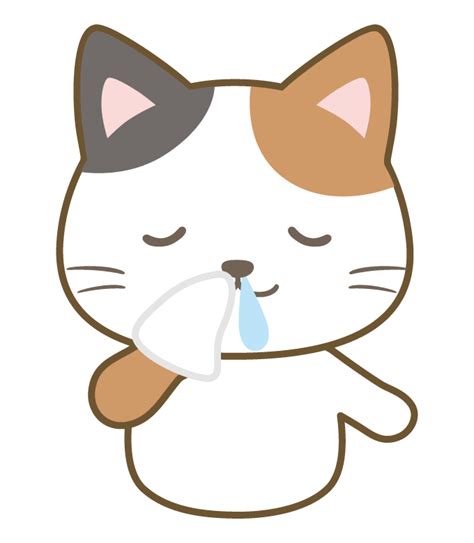鼻をかむ三毛猫のイラスト 無料のフリー素材 イラストエイト