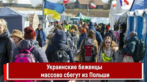 Украинские беженцы массово сбегут из Польши Youtube