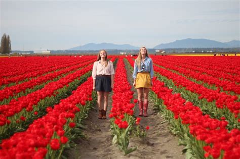 Red Tulip Fields Photography Inspiration Photo Inspiration Tulip Fields