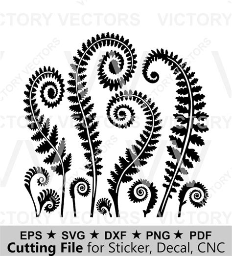Fiddlehead Ostrich Fern Shoots Botanical Border Vector File For Cut