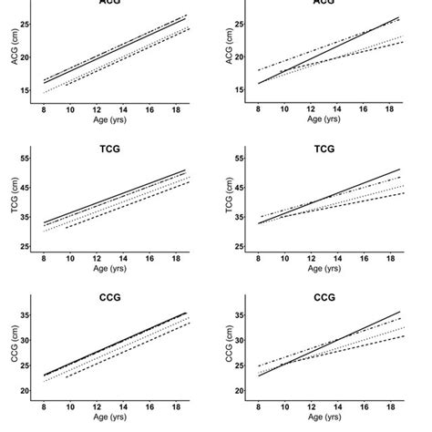 Regional Muscularity Evolution Across Age By Sex And Sport