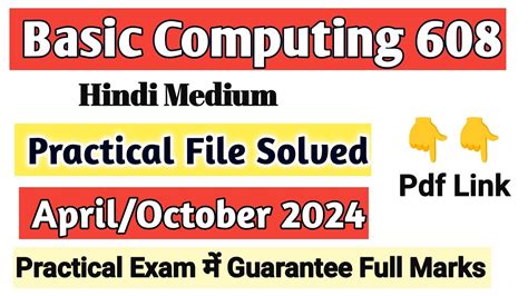 Nios Basic Computing Practical File Class 10 Basic Computing Practical
