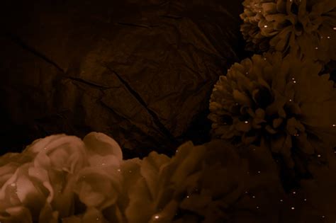 검은 배경과 밝은 노란색 꽃 프레임과 갈색 잎 질감 어두운 배경 빨간 배너 행복 발렌타인 데이에 아름다운 추상 적 색 빨간색 노란색과 갈색 꽃 그래픽 0명에 대한 스톡 사진