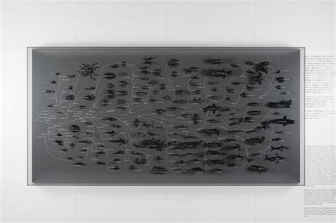 Evolutionary Tree Evolution Thinking On Behance