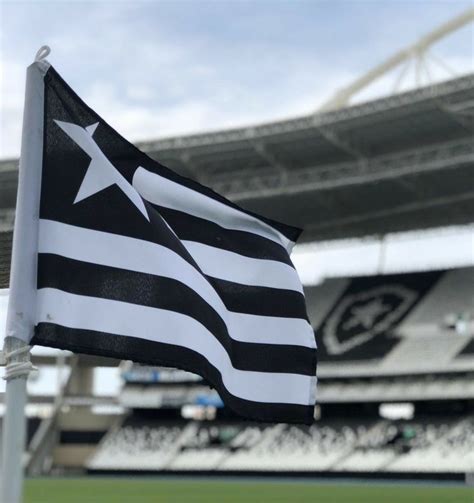 Pin de Gui Sousa em Salvamentos rápidos Botafogo Fotos botafogo