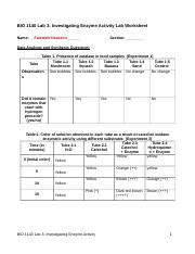 Lab 3 Enzymes 1 Docx BIO 1140 Lab 3 Investigating Enzyme Activity Lab Worksheet Name