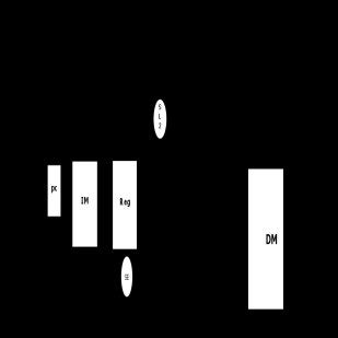 Data Path Of Processor Download Scientific Diagram