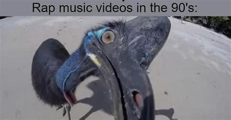 Also Punk Rock Album On Imgur