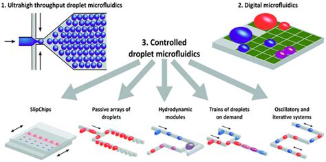 Schematics Showing Different Types Of Microfluidic Pl Vrogue Co
