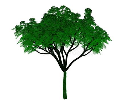 D Rendering Of An Outlined Black Tree With Green Edges Isolated Stock Illustration