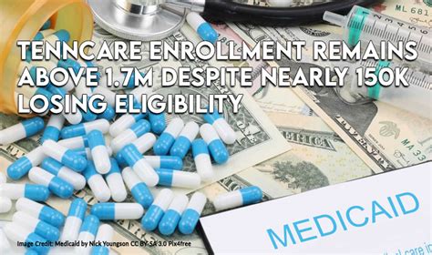 Tenncare Enrollment Remains Above 17m Despite Nearly 150k Losing