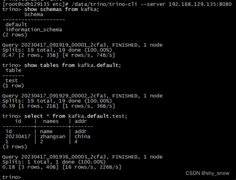 Trino安装使用及权限控制 Csdn博客