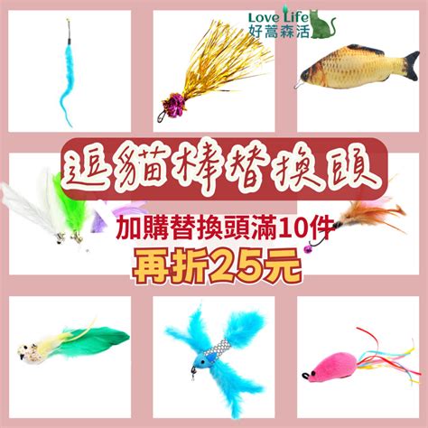 逗貓棒替換頭 貓玩具 逗貓棒 貓咪玩具 逗貓 三節逗貓棒 自動逗貓羽毛逗貓棒 伸縮逗貓棒 釣魚逗貓棒 蝦皮購物