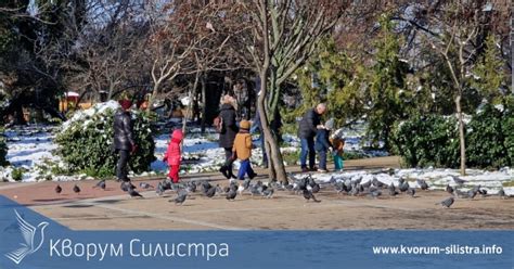 Вижте колко ще ви глобят ако храните бездомни животни в съседния на Силистра град Кълъраш