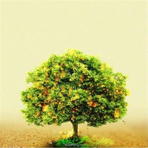 放大器参数解析与ltspice仿真 Openi