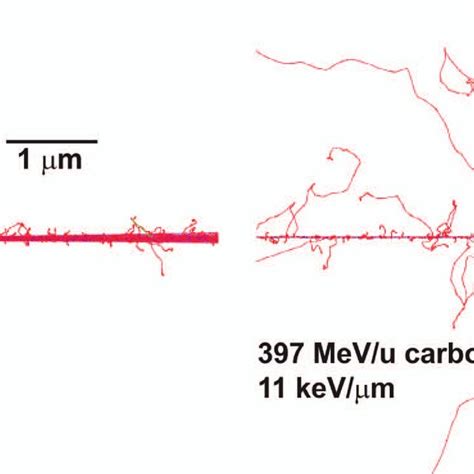 Track Structure Of Proton And Carbon Ion Generated Using Monte Carlo