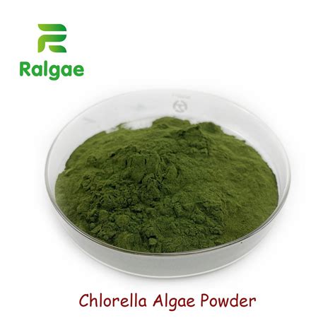 Natural Microalgae Chlorella Powder Foods Grade Chlorella Algae Powder And Food Supplements