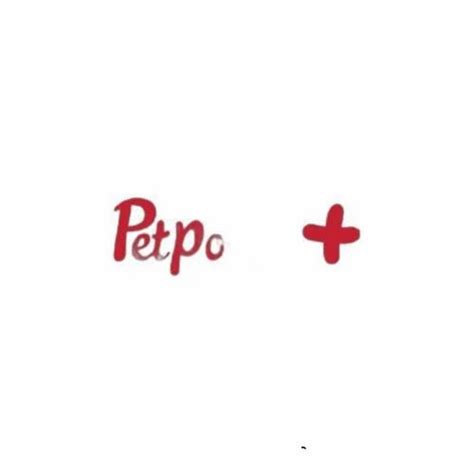 Petpooja Restaurant Real Time Simplified Reporting Service At Best