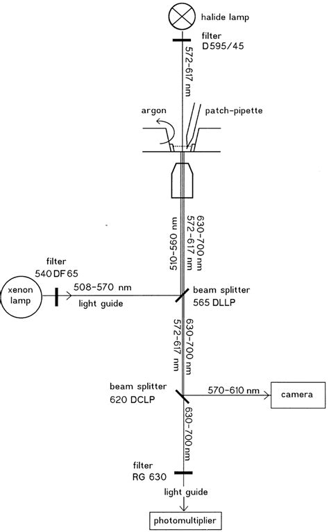 Scheme Of The Experimental Setup For The Simultaneous Measure