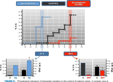 Figure 6 From Kisspeptins And Reproduction Physiological Roles And