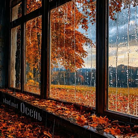 Vlad Met Последний кусочек осени🍂 Ссылка на полный трек в шапке