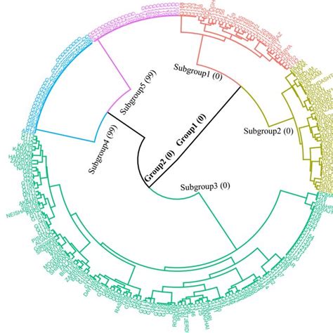 Photoperiod And Vernalization Alleles And Their Frequency In Cultivars