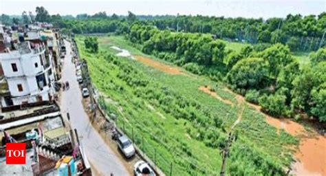 Sukhna Choe NGT Panel Seeks Report On Sukhna Choe Chandigarh News
