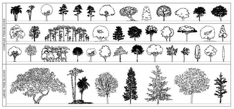 Cad Blocks Free Download Free Cad Blocks Phác Thảo Kiến Trúc Cây Phác Thảo
