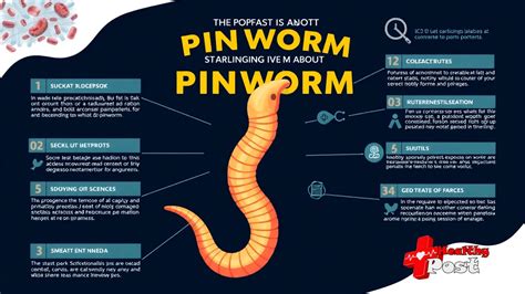 Top 10 Alarming Facts About Pinworm Icd 10 Classification