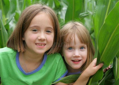 Fun In The Corn Field Picture Image 5527609
