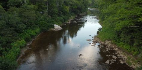 Shavers Fork — Waterway Of Life