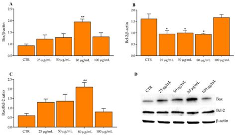 Molecules Free Full Text Anti Proliferative And Pro Apoptotic