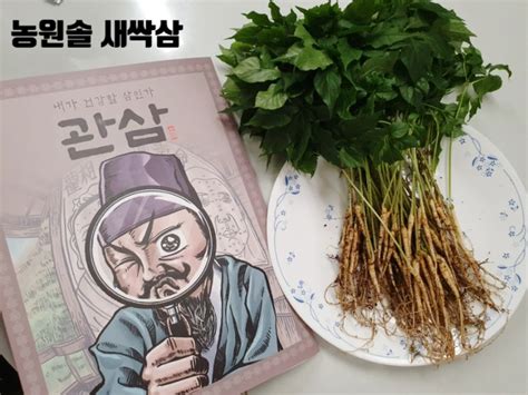 농원솔 새싹삼 신선한 새싹삼 부모님 선물로 최고 네이버 블로그