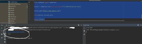 Internet Explorer Selenium Code Not Executed After Driverget