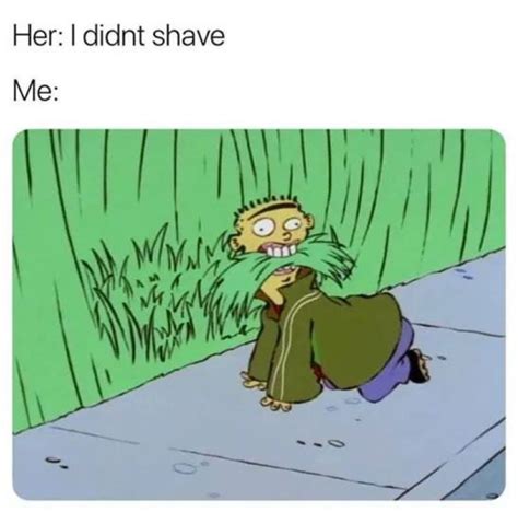 100 Funniest Ed Edd N Eddy Memes From The Cul De Sac Fandomspot