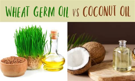 Wheat Germ Oil Vs Coconut Oil The Ultimate Verdict The Coconut Mama