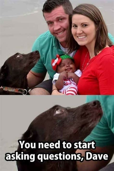 Pic 1 Dave Clearly Theres A Discrepancy Here Meme Guy