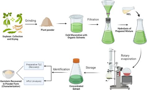 Extraction Isolation And Identification Procedure Of Genistein Download Scientific Diagram