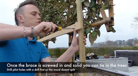 Screwing In A Pleached Tree Support Frame Garden Ninja Ltd Garden Design